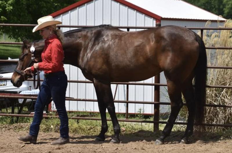 Purina Enrich Plus Ration Balancing Horse Feed, 50 lb. Bag at Tractor ...