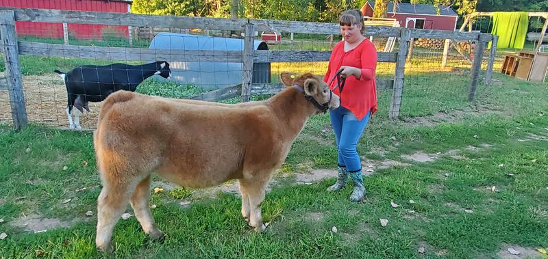 Purina Precon Complete Cattle Starter Calf Medicated DX Feed with RX3 ...