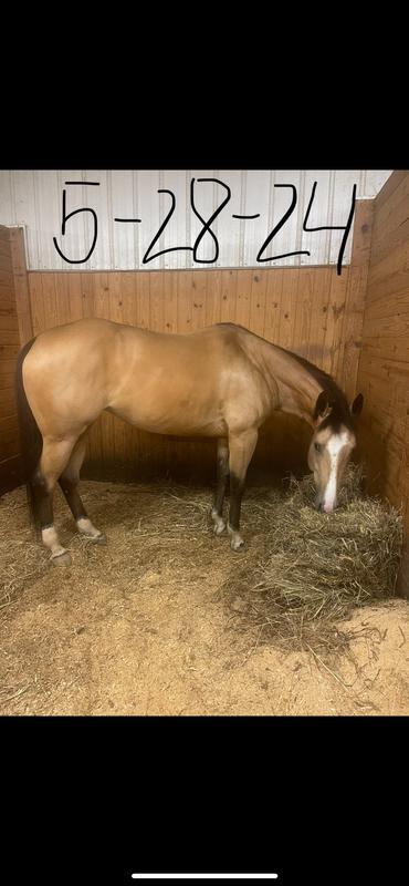 Purina Smart Edge Horse Feed, 50 lb. Bag at Tractor Supply Co