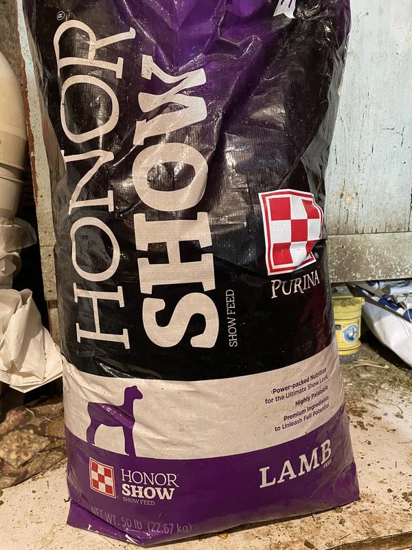 Purina Honor Show Grower 15% DX Pellet/Grain Lamb Feed at Tractor Supply Co