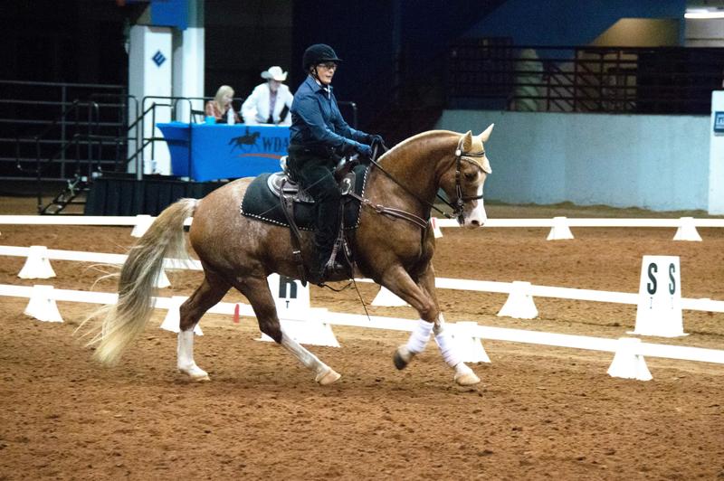 Purina Strategy Professional Formula GX Horse Feed, 50 lb. Bag at ...