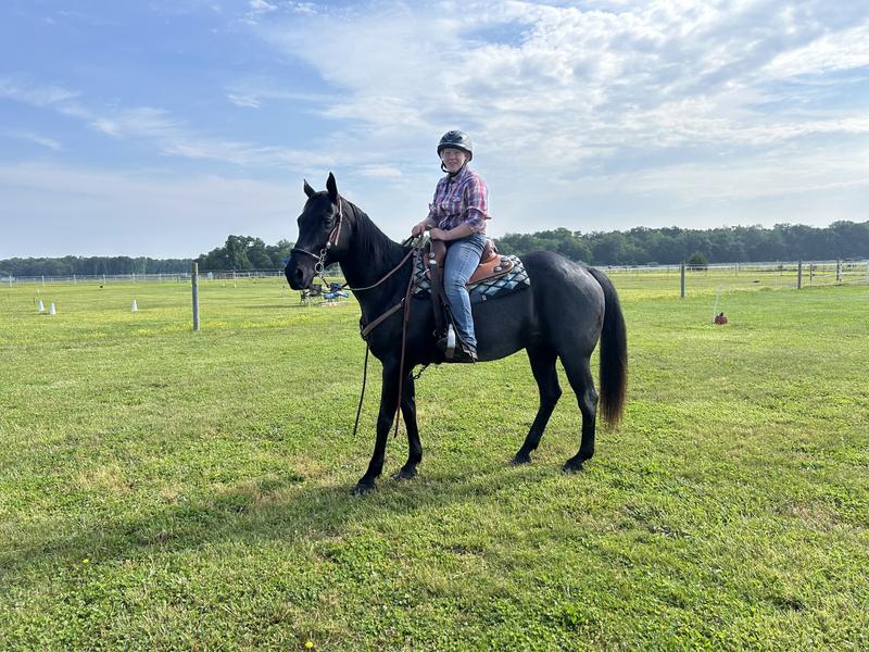 Purina Smart Edge Horse Feed, 50 lb. Bag at Tractor Supply Co