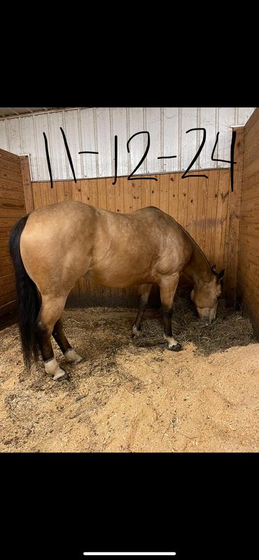 Purina Smart Edge Horse Feed, 50 lb. Bag at Tractor Supply Co