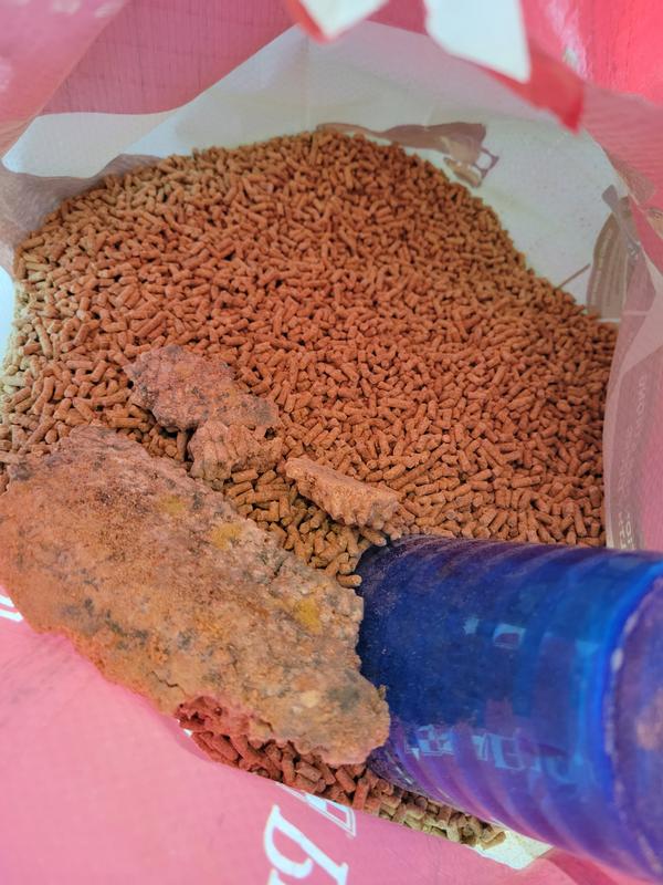 Purina Meat Bird Non-Medicated Crumbles Chicken Feed, 40 lb. Bag at ...