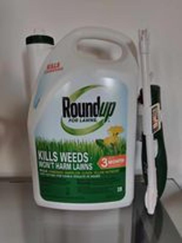 Roundup For Lawns1 1-Gallon Trigger Spray Lawn Weed Killer 5021005 at ...