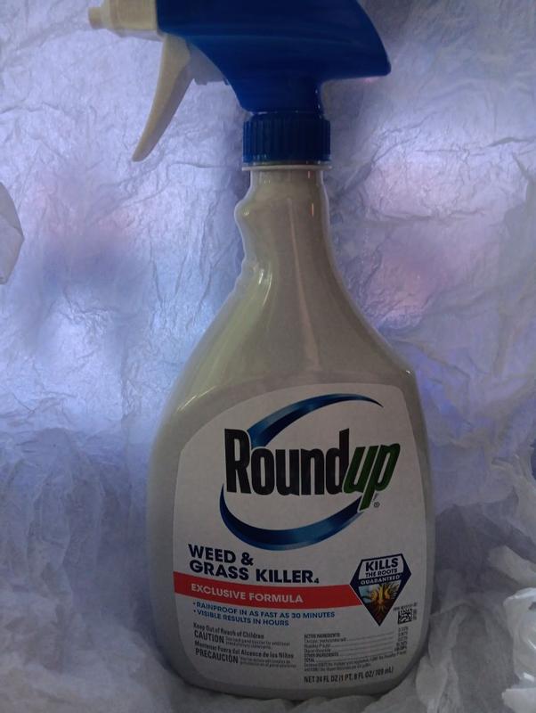 Roundup Weed and Grass Killer4 with Sure Shot Wand 1-Gallon Ready to ...