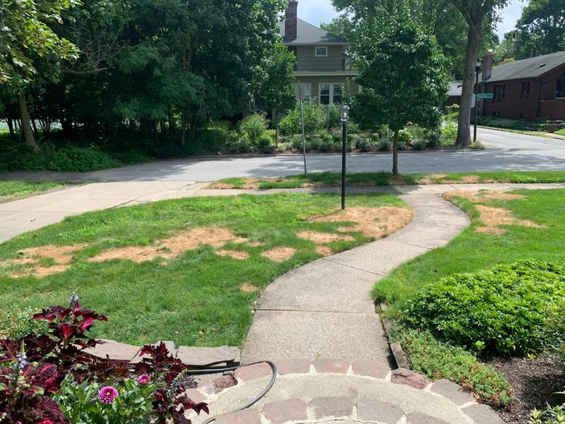 Roundup For Lawns 1-Gallon Ready to Use Crabgrass Control 4386015 at ...