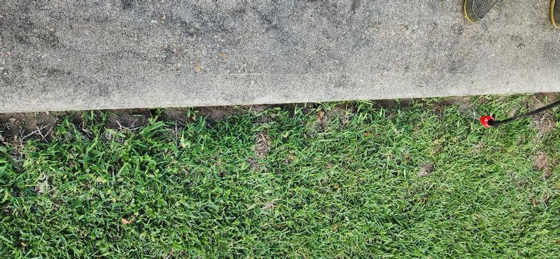 Shop Roundup Weed Control & Curb Appeal Kit: Spray, Kill, and Mulch for ...