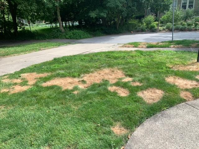 Roundup For Lawns 1-Gallon Ready to Use Crabgrass Control 4386015 at ...