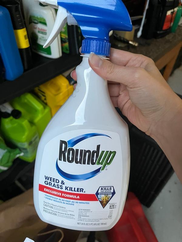Roundup Weed and Grass Killer4 with Sure Shot Wand 1-Gallon Ready to ...
