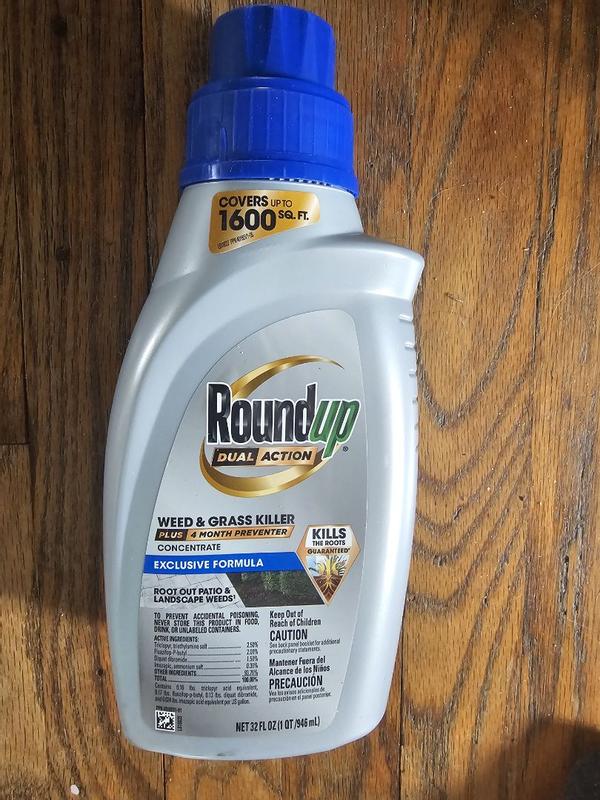 Roundup Poison Ivy Plus Tough Brush Killer2 32-oz Concentrated Brush ...