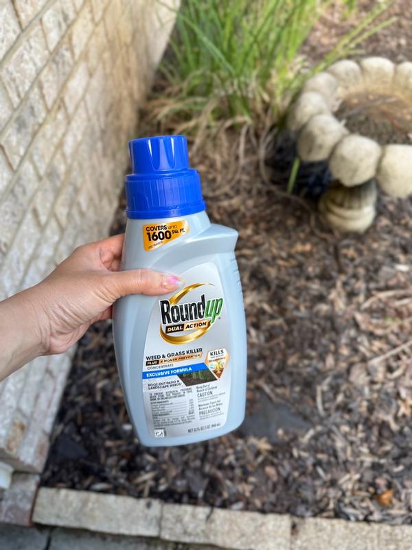 Roundup Poison Ivy Plus Tough Brush Killer Concentrate at Tractor Supply Co