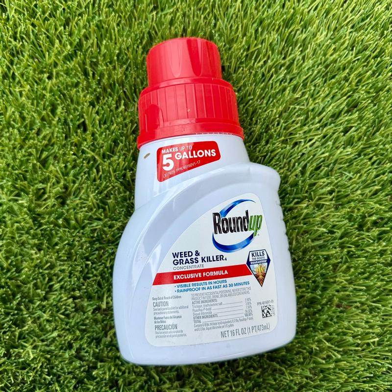 Shop Roundup Weed Control & Curb Appeal Kit: Spray, Kill, and Mulch for ...