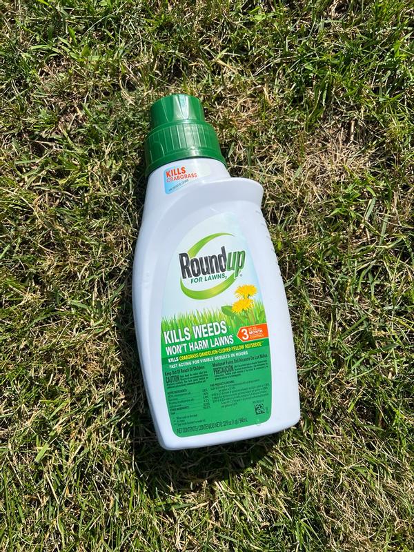 How Long Does It Take For Roundup To Kill Weeds