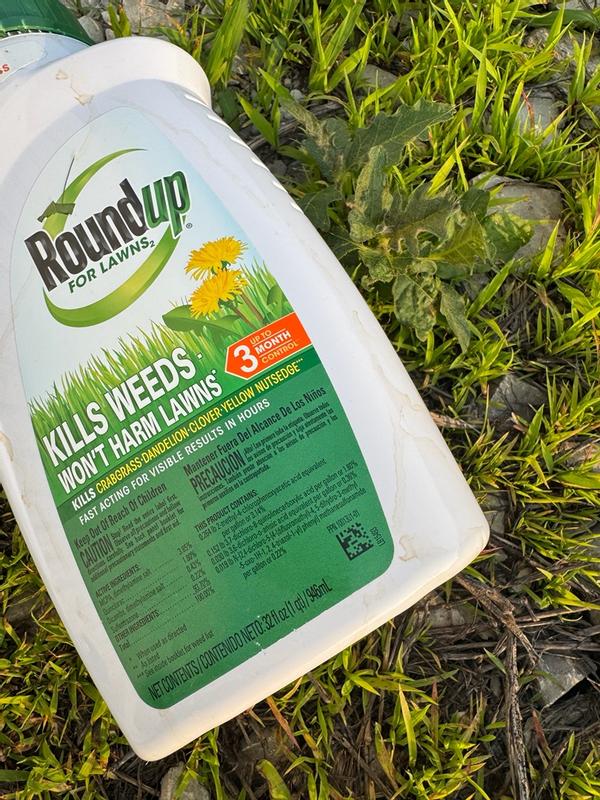 How Long Does It Take For Roundup To Kill Weeds