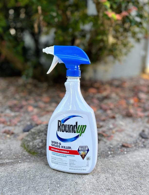 Roundup Weed and Grass Killer4 24-fl oz Trigger Spray Weed and Grass ...