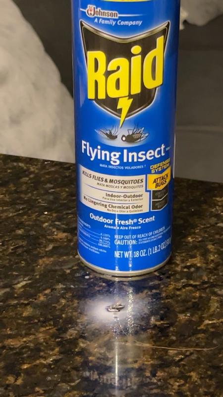 Raid 20-oz Flying Insect Bug Spray and Mosquito Control Insect Killer ...
