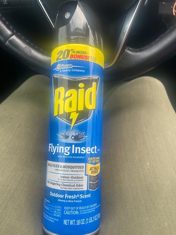 Raid 20-oz Flying Insect Bug Spray and Mosquito Control Insect Killer ...