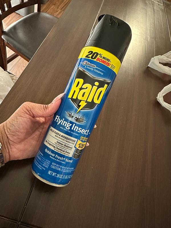 Raid Flying Insect Home & Perimeter Indoor/Outdoor Bug Spray in the ...