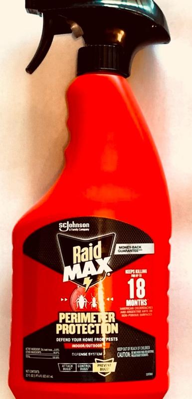 Raid REMOVE - Fragrance Free Ant and Roach Killer 17.5 oz Aerosol Spray ...