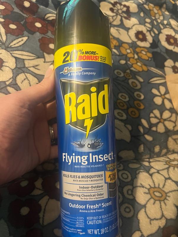 Raid 20-oz Flying Insect Bug Spray and Mosquito Control Insect Killer ...