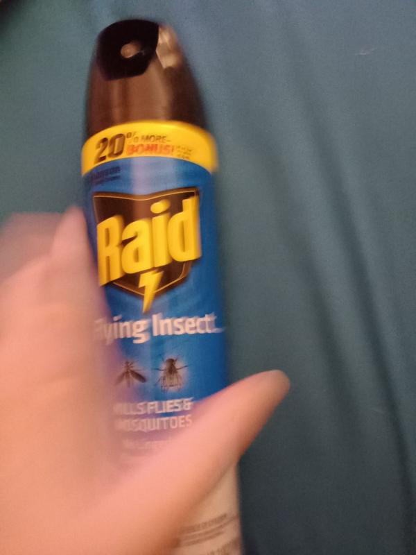 Raid 20-oz Flying Insect Bug Spray and Mosquito Control Insect Killer ...