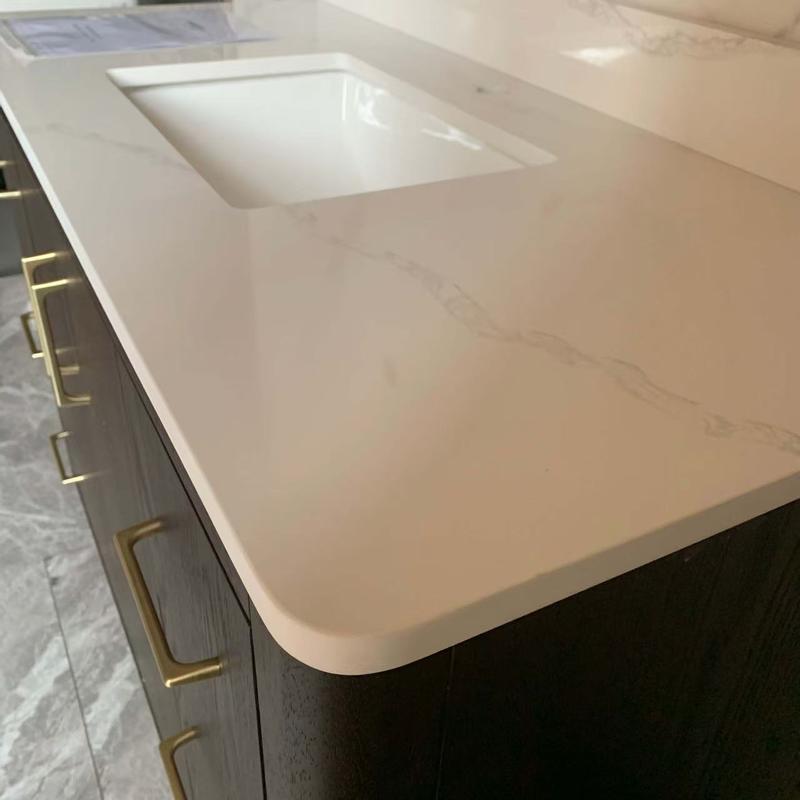 Rainlex 48 inch Free Standing Single Bathroom Vanity with Quartz Top in ...