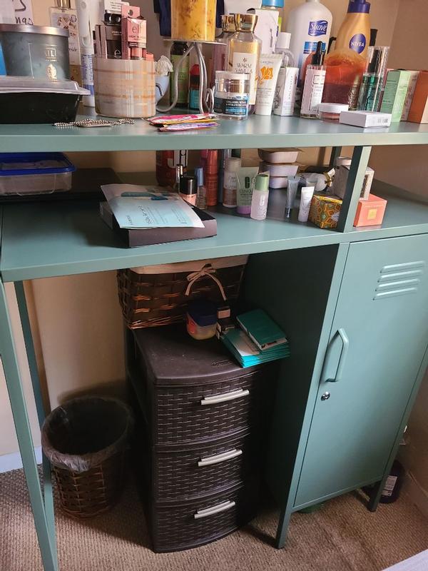 The Novogratz Cache Metal Locker-Style Mini Refrigerator Organizer ...