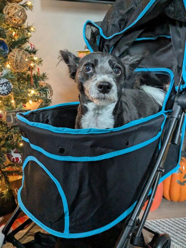 Carlson Pet Products Deluxe Fold and Go Pet Stroller at Tractor Supply Co