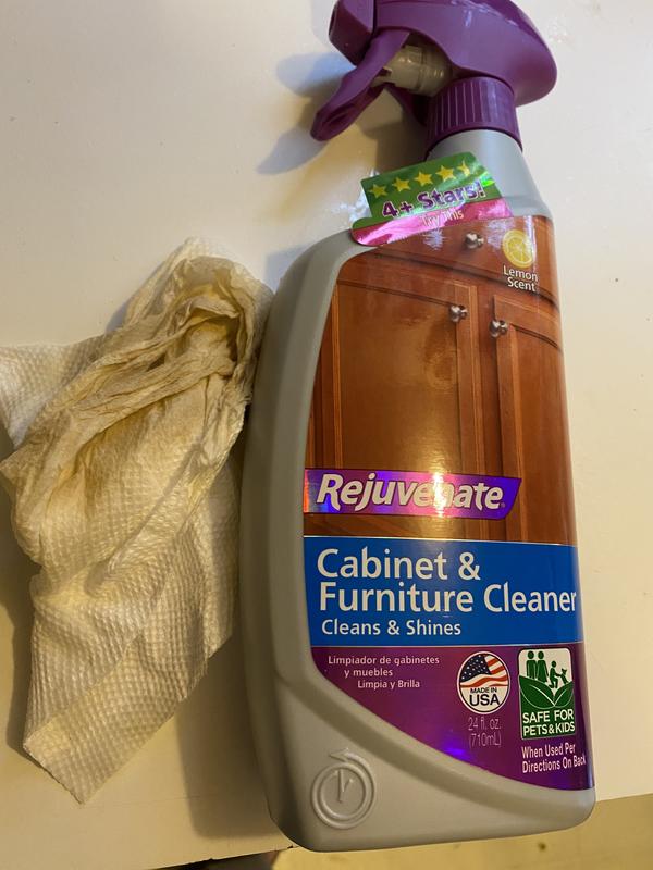 Rejuvenate Cabinet Furniture 16 -fl oz Unscented Wood furniture ...