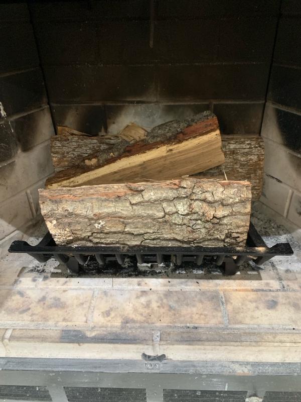 Modern Ember Cast iron 24-in with Embler Retainer in the Fireplace ...