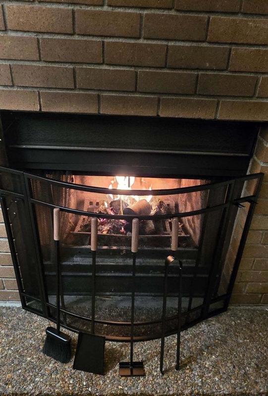 Modern Ember 40-in Black Steel 1 -Panel Craftsman Fireplace Screen in ...