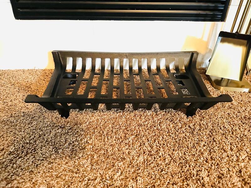 Modern Ember Cast iron 27-in with Embler Retainer in the Fireplace ...