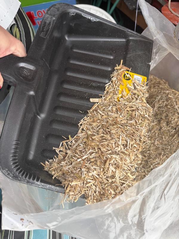 Rubbermaid 12 in. Heavy Duty Dust Pan at Tractor Supply Co