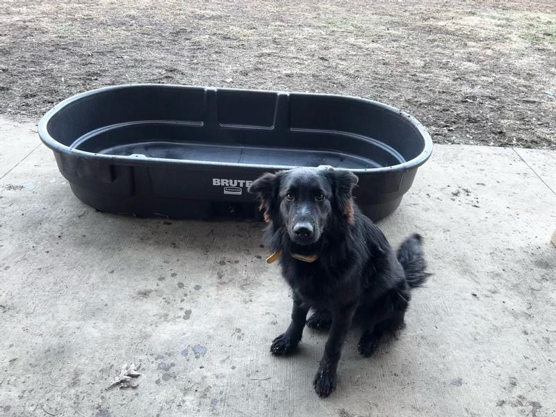Rubbermaid 120Gal Low-Profile Stock Tank at Tractor Supply Co