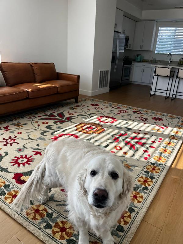 Rugs USA Padma Lakshmi Shangrila Folk Floral Wool Rug 8ft. 6in. x 11ft ...