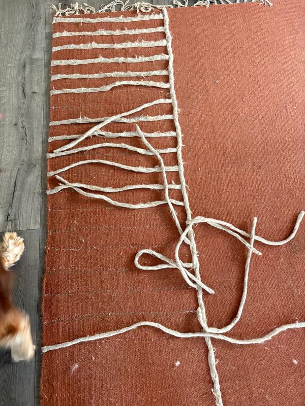 nuLOOM SoHo Tasseled Wool 5ft. x 8ft. Brown Area Rug in the Rugs ...