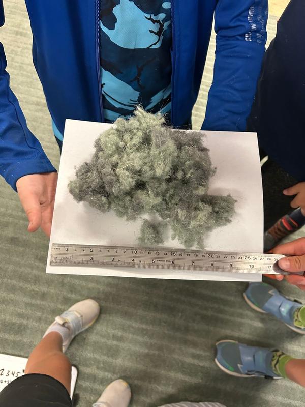 nuLOOM Southwest Striped Wool 3ft. x 5ft. Green Area Rug in the Rugs ...