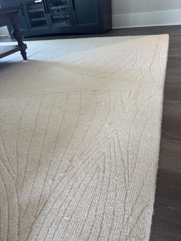 Rugs USA Padma Lakshmi Stillpoint Radiating Pattern Wool Rug 9ft. 6in ...