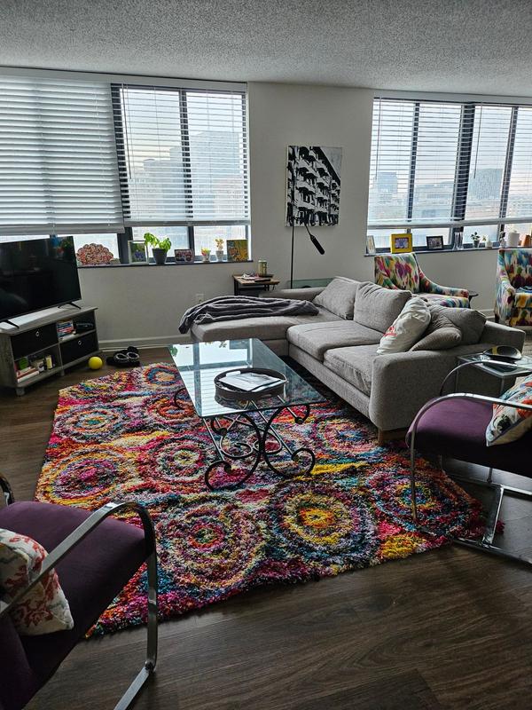 nuLOOM Kindra 2 X 6 (ft) Indoor Abstract Runner Rug OZXL02A-2606 at ...