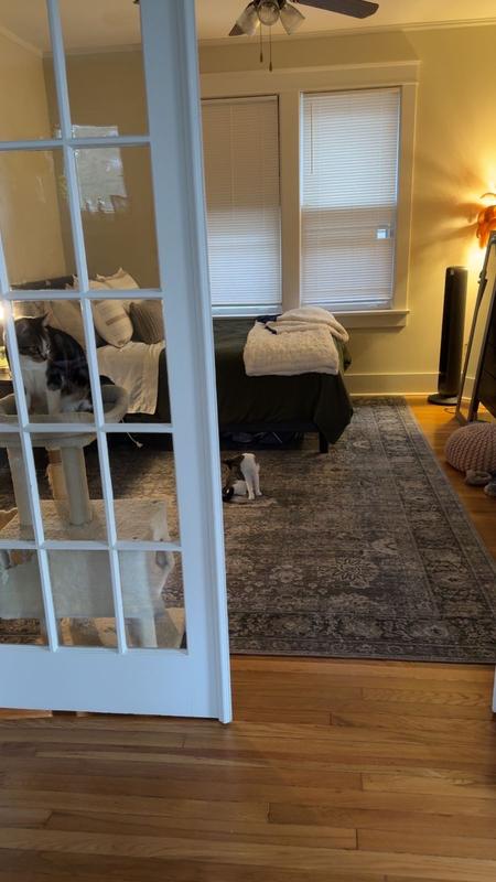 nuLOOM Bayberry Spill Proof Vintage Machine Washable 2ft. 6in. x 8ft ...