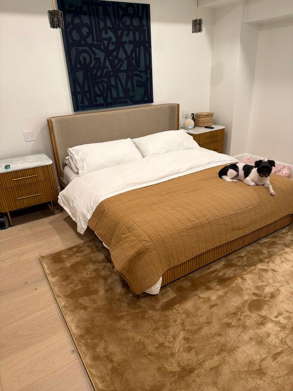 nuLOOM Zephira Modern Solid Area Rug in the Rugs department at Lowes.com