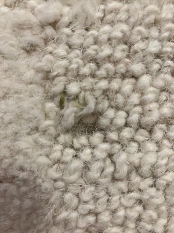 nuLOOM Robyn Wool 8ft. x 10ft. Ivory Area Rug in the Rugs department at ...