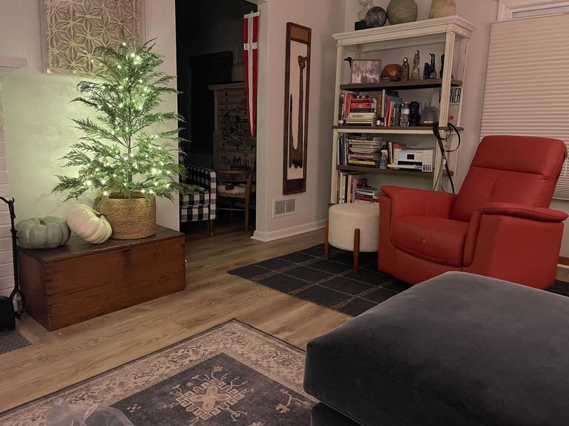 Rugs USA Nate Berkus Downing Plaid Wool Cozy Area Rug in the Rugs ...