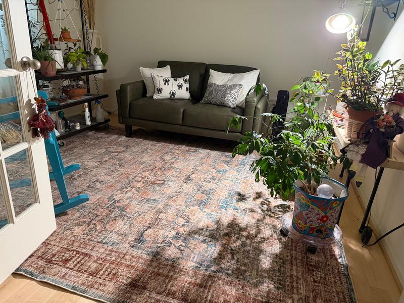 nuLOOM Meyden Bordered Traditional Washable Area Rug in the Rugs ...