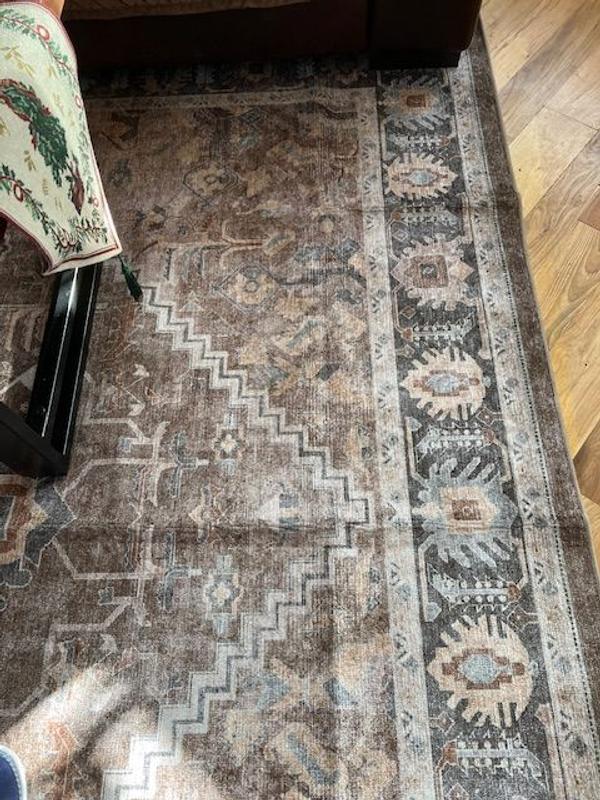 nuLOOM Prudence Medallion SplashGuard Machine Washable 5ft. x 8ft ...