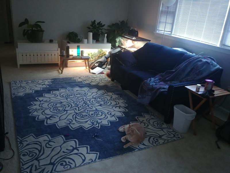 nuLOOM Poppy 4 x 6 Blue Indoor/Outdoor Floral/Botanical Area Rug at ...