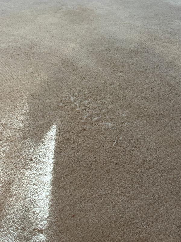 nuLOOM Maru Wool Area Rug in the Rugs department at Lowes.com