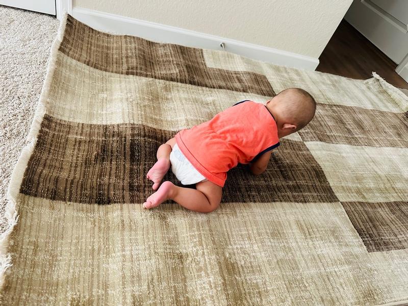 nuLOOM Cedarwood Fringed 2ft. 8in. x 7ft. 10in. Brown Area Rug in the ...