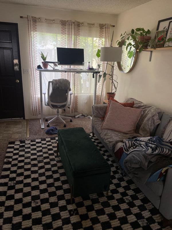 nuLOOM Pania Contemporary Checkered Fringe 4ft. x 6ft. Dark Grey Area ...